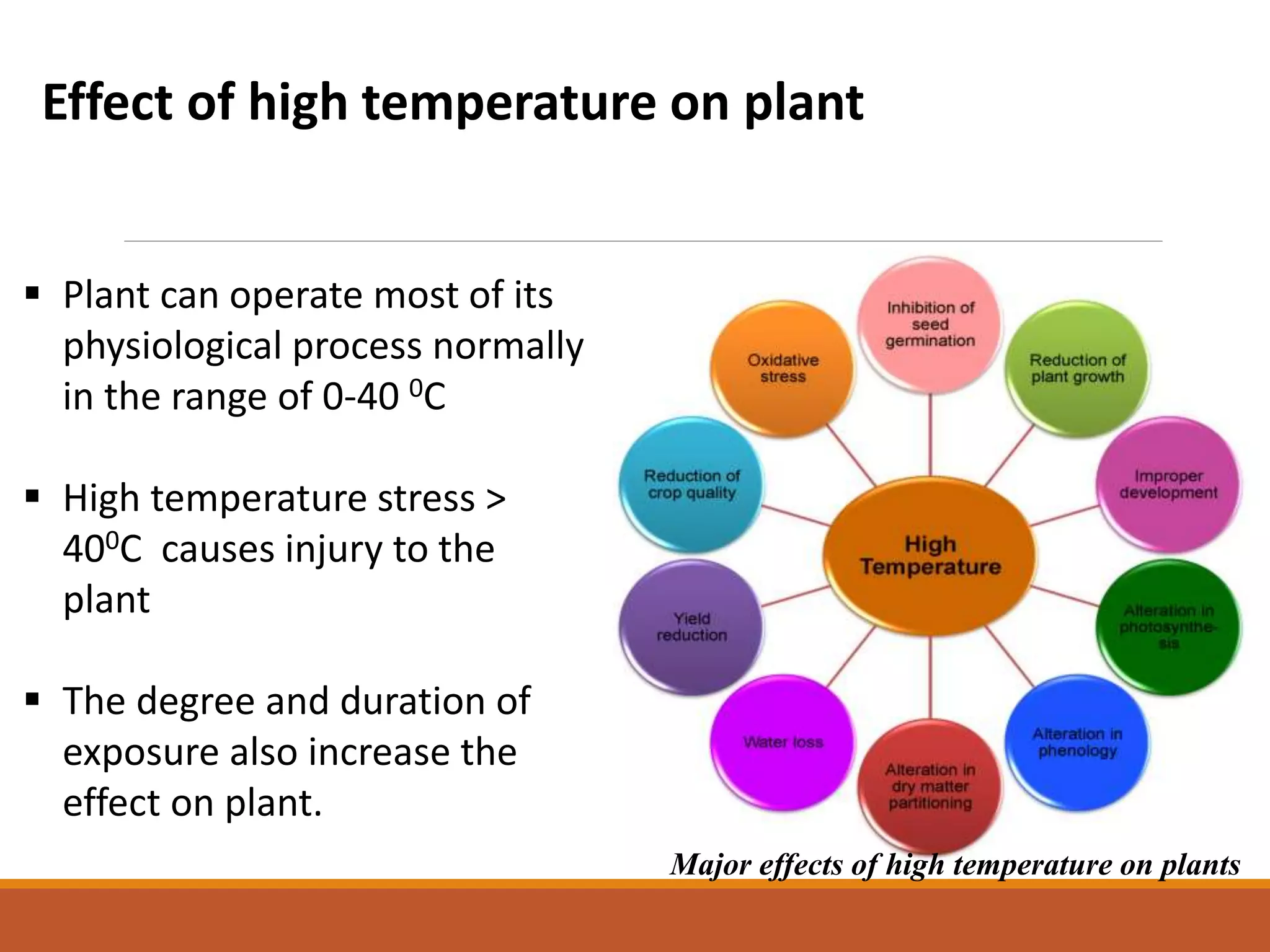 Assignment on Heat Stress on Plant | PPTX