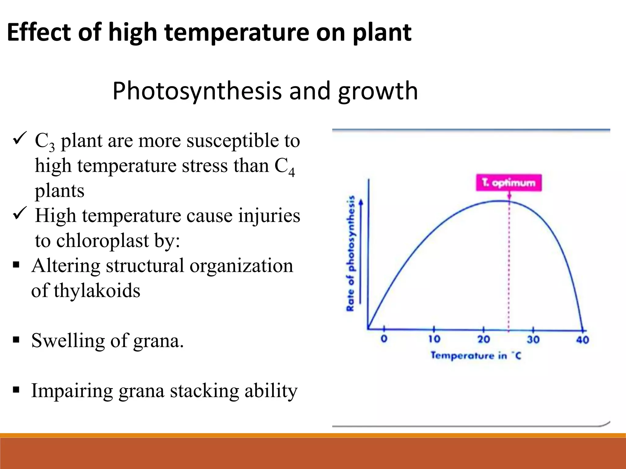 Assignment on Heat Stress on Plant | PPTX