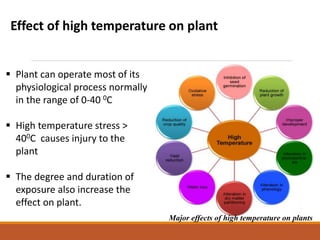Assignment on Heat Stress on Plant | PPTX