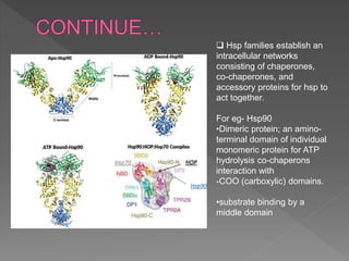HEAT SHOCK PROTEIN AND DISEASE CONTROL IN AQUEOUS ORGANISM ppt.pptx
