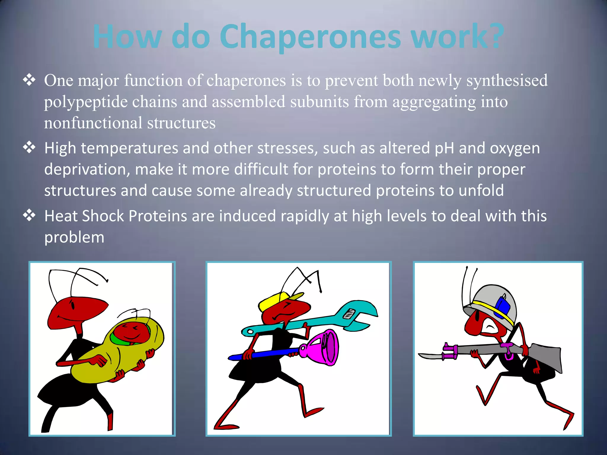 Heat shock proteins | PPTX
