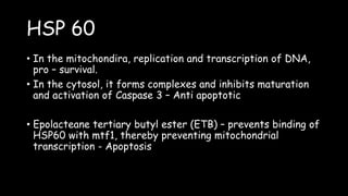 Heat shock proteins | PPTX