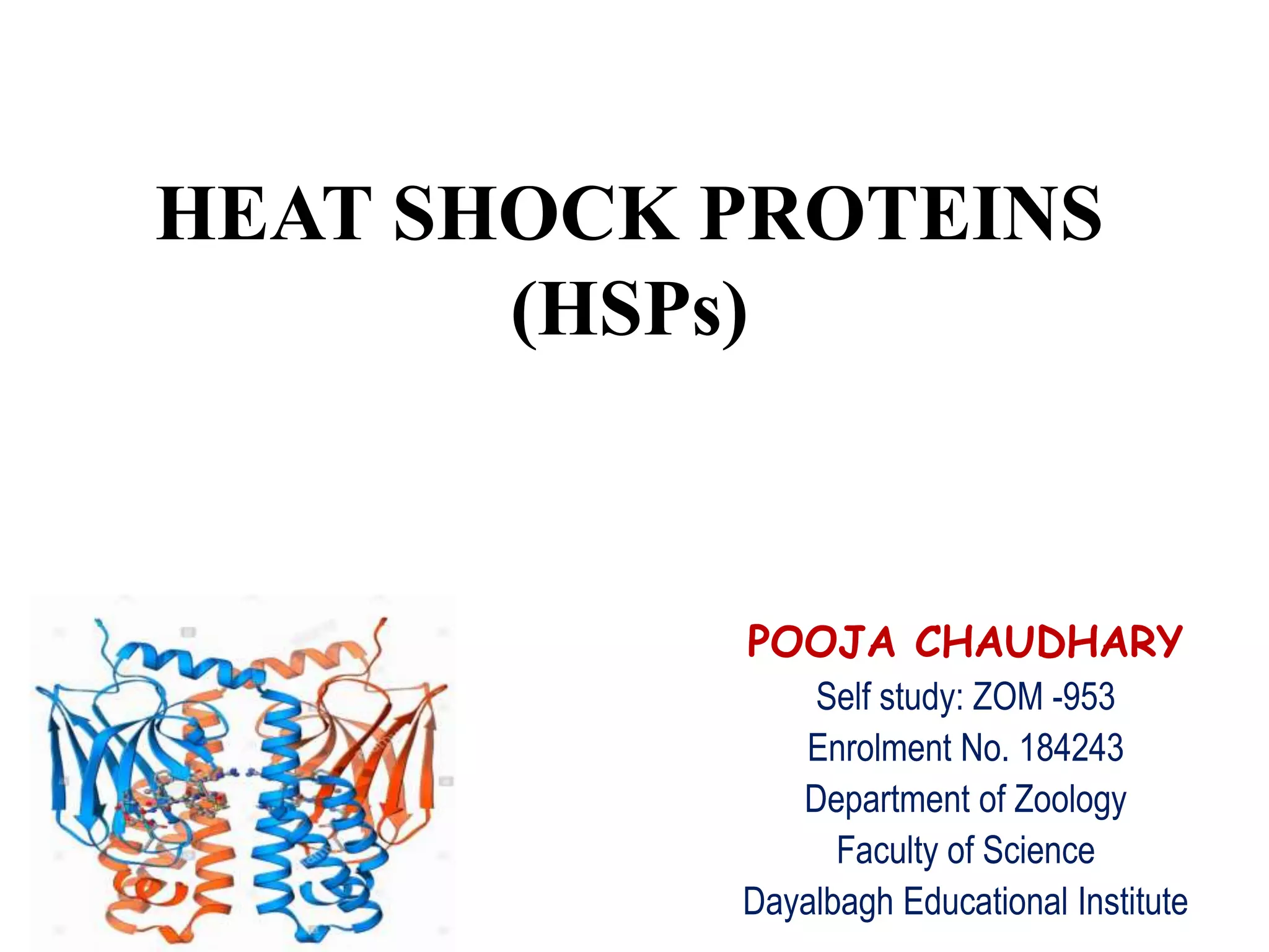 Heat shock proteins presentation | PPTX