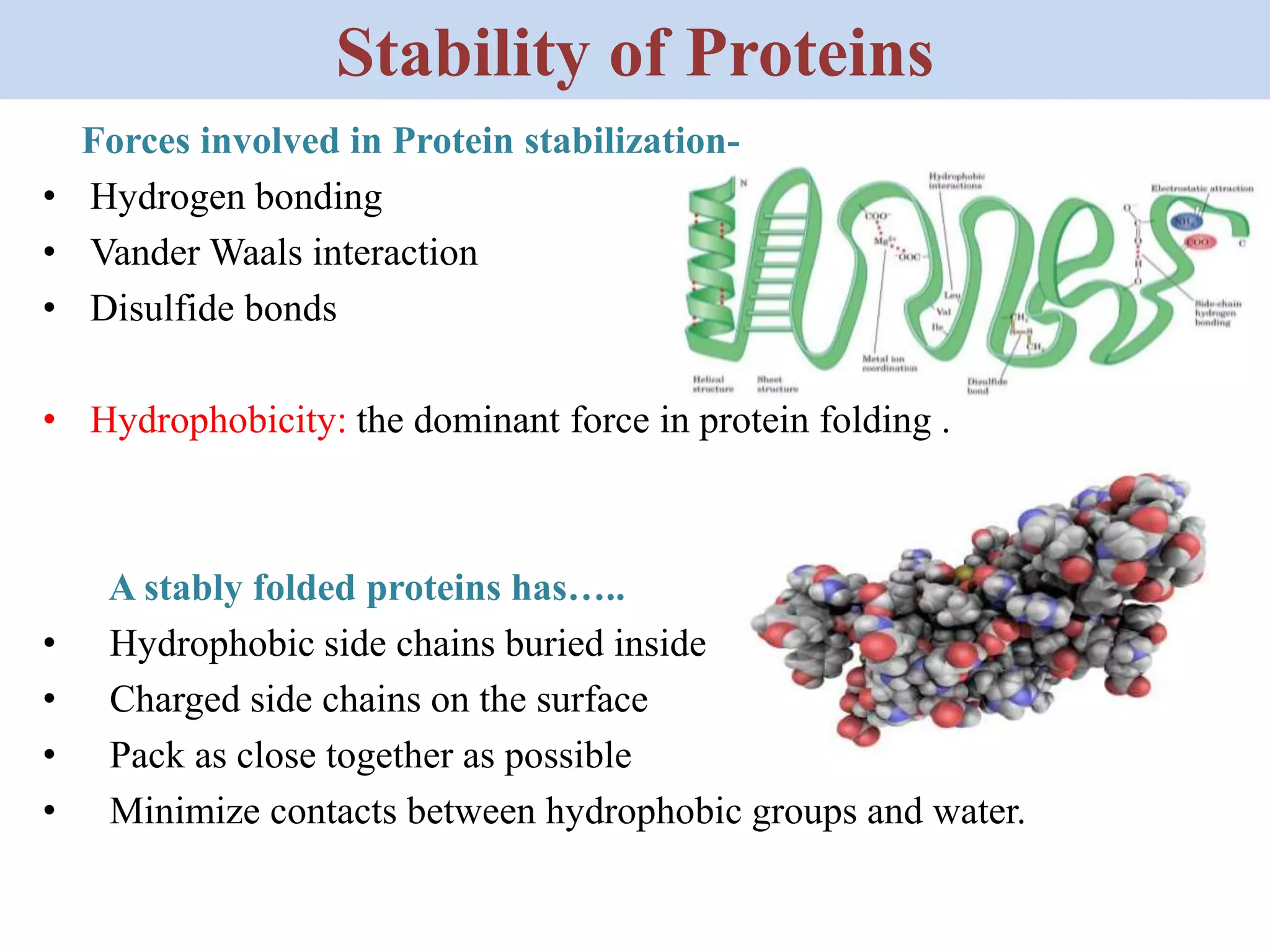 Heat shock proteins presentation | PPTX