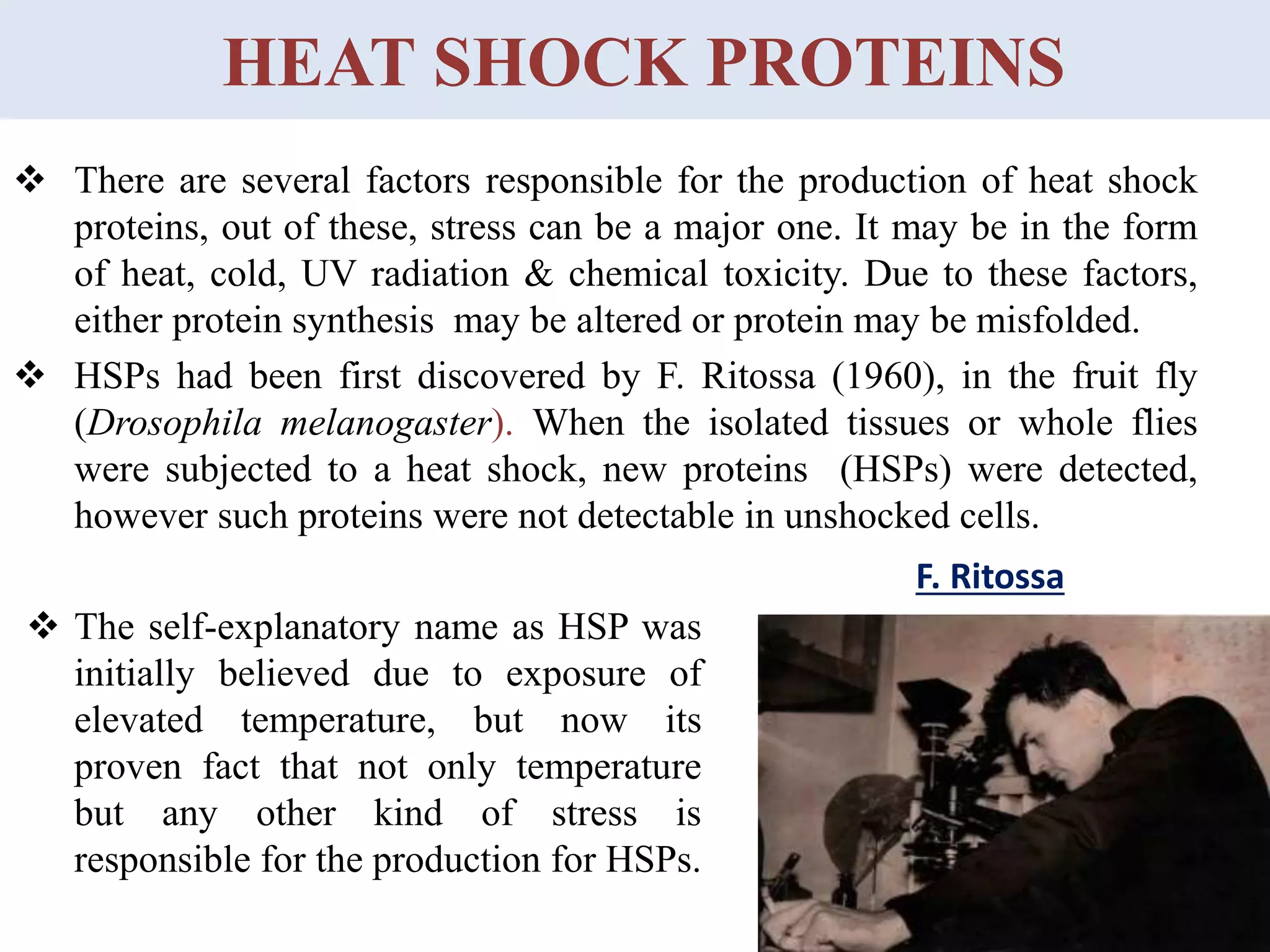 Heat shock proteins presentation | PPTX