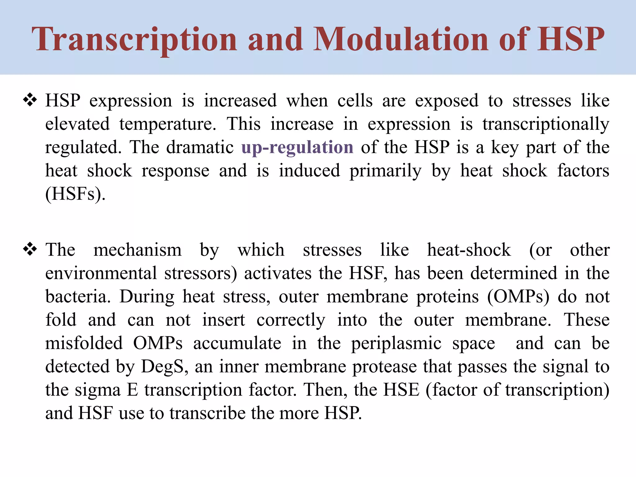 Heat shock proteins presentation | PPTX