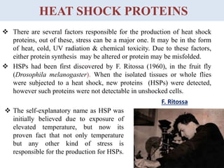 Heat shock proteins presentation | PPTX
