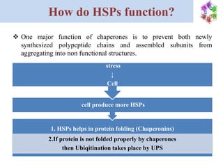 Heat shock proteins presentation | PPTX