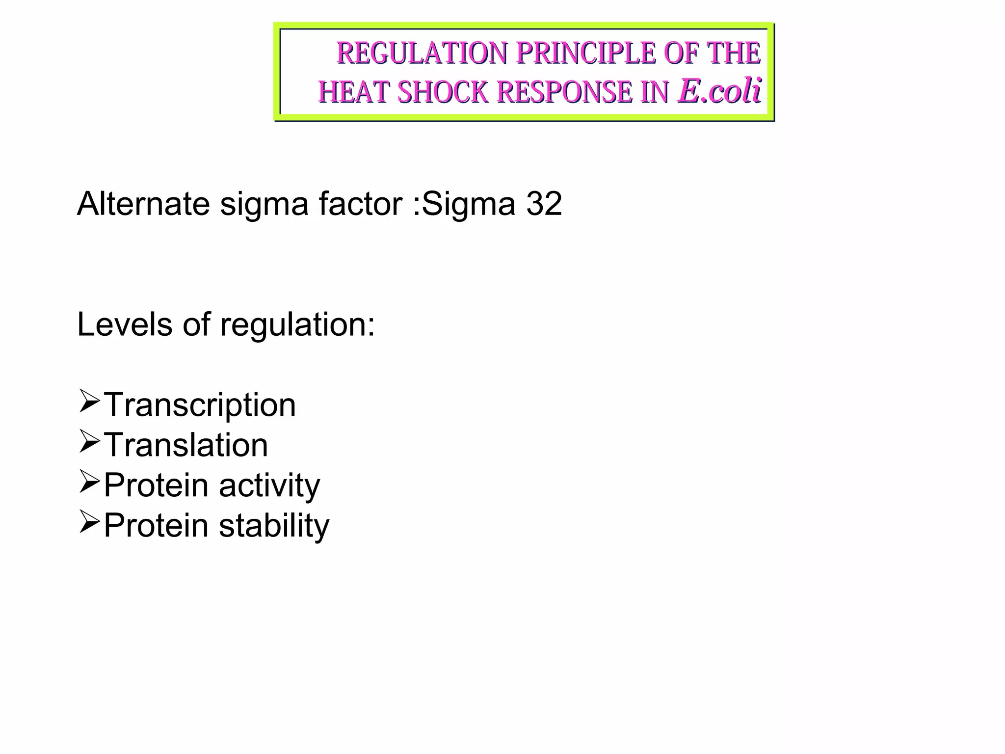 Heat shock response major seminar | PPT | Chemistry | Science