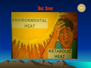 Heat stress | PPT