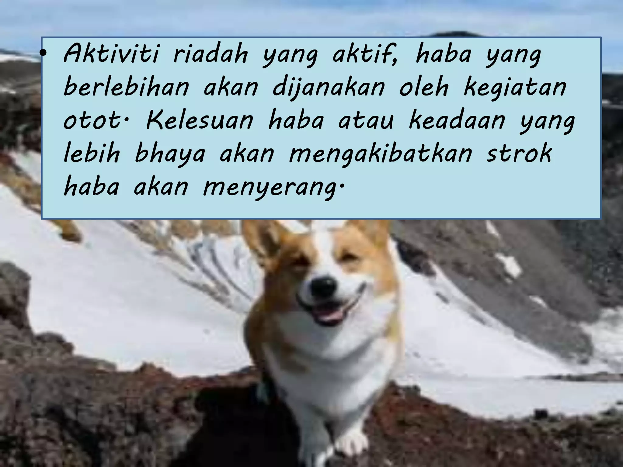 Heat stress ( Stres Haba ) | PPTX