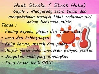 Heat stress ( Stres Haba ) | PPTX