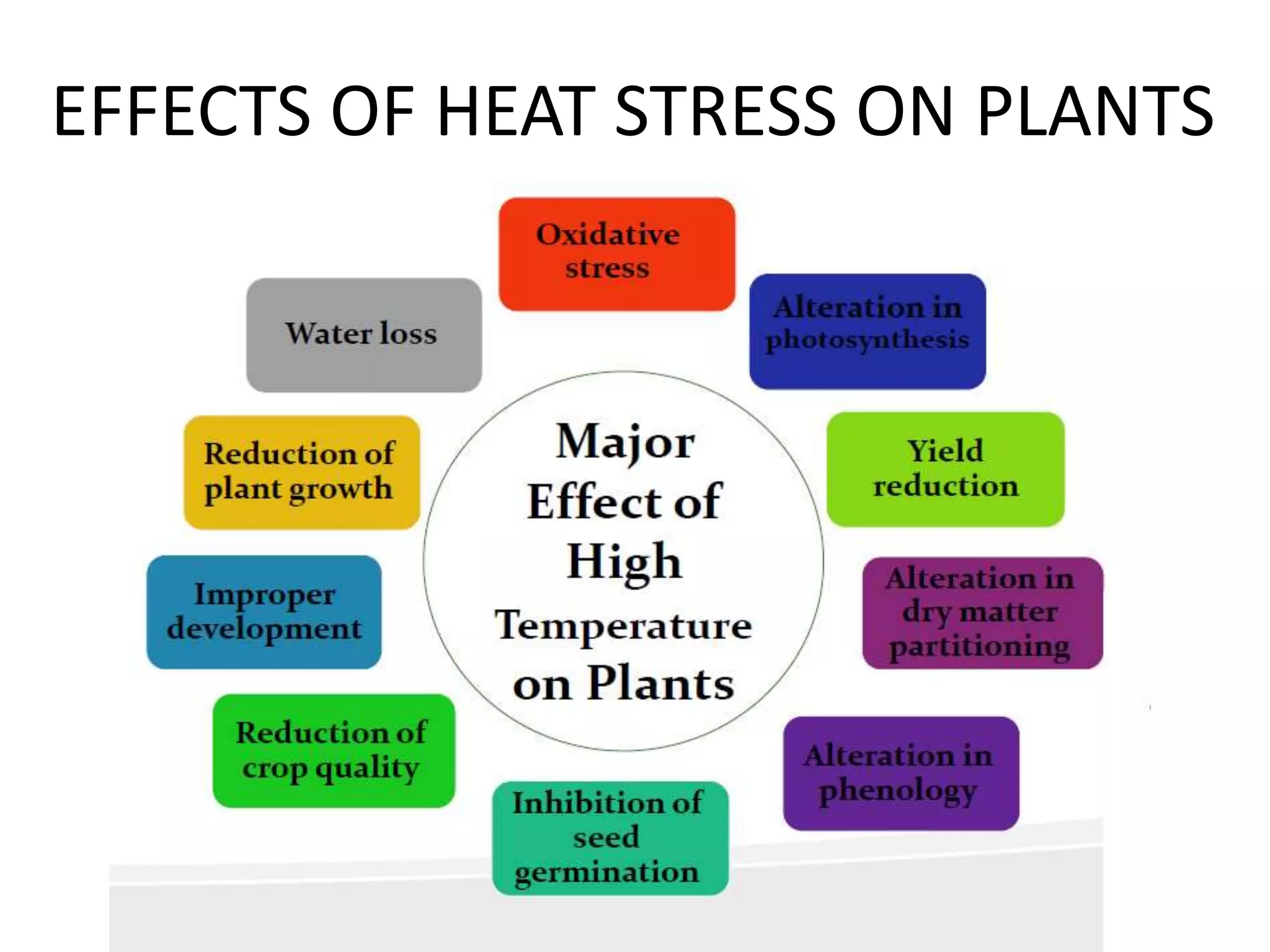 Mechanism of heat stress response in plants | PPTX