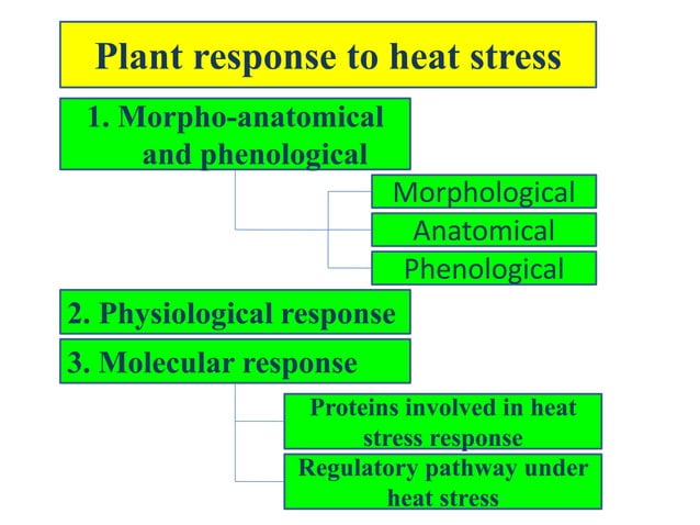 Mechanism of heat stress response in plants | PPTX | Gardening | Home ...