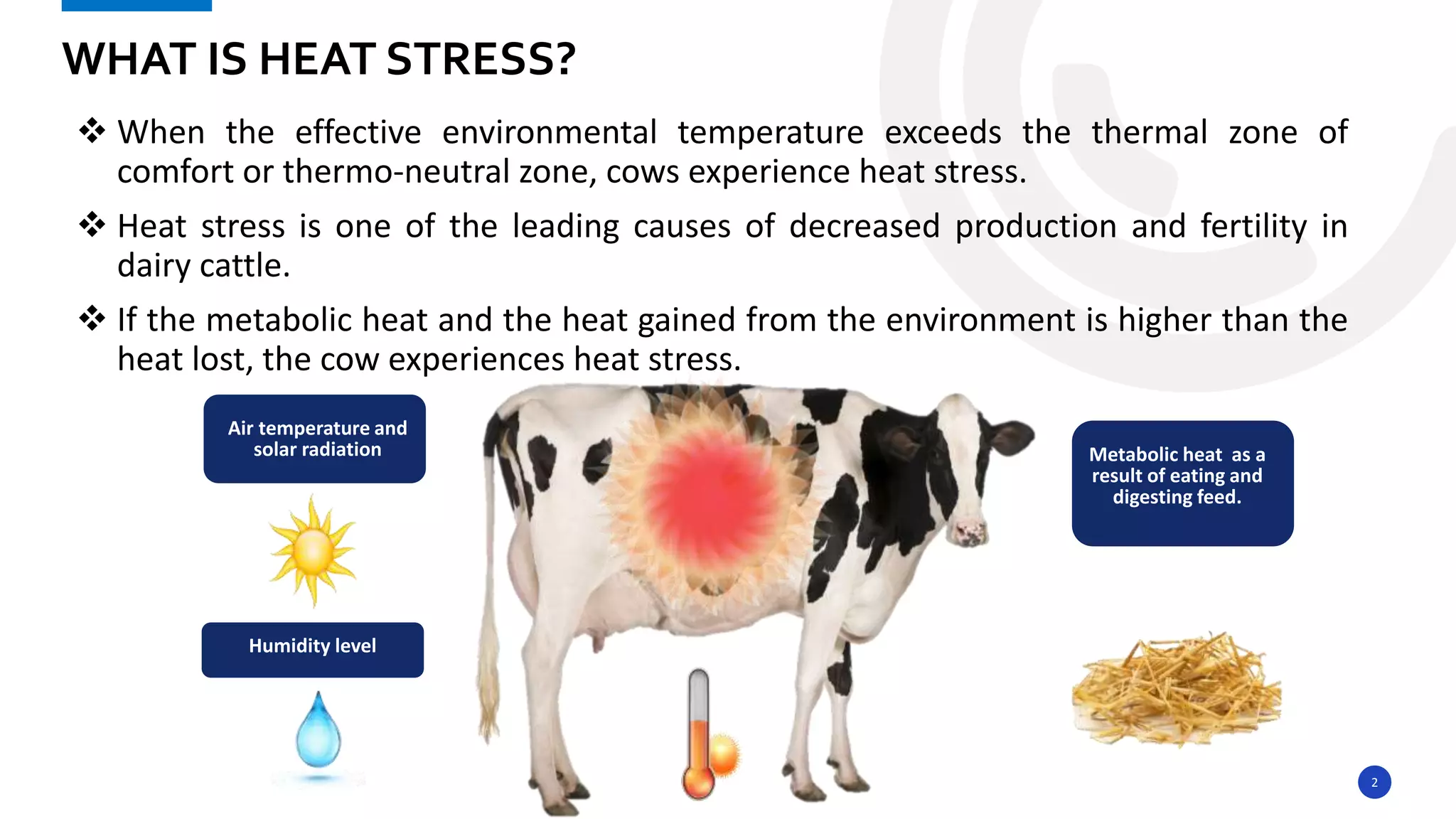 Heat stress | PPTX