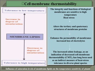 heat stress.pptx
