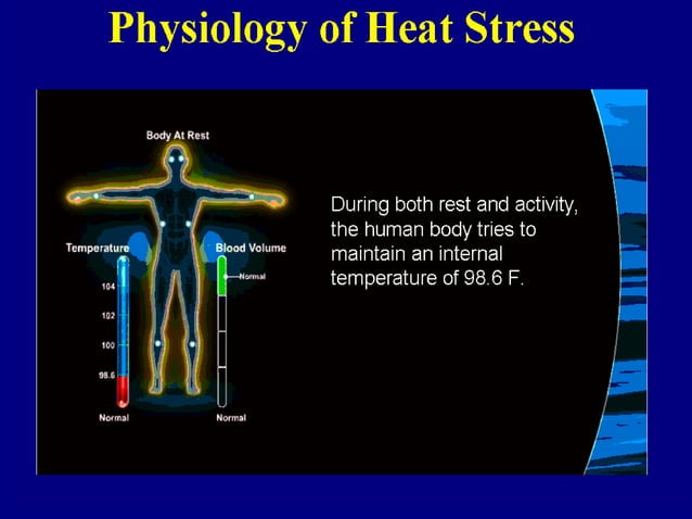 Heat Stress.ppt