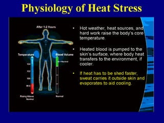 Heat Stress.ppt
