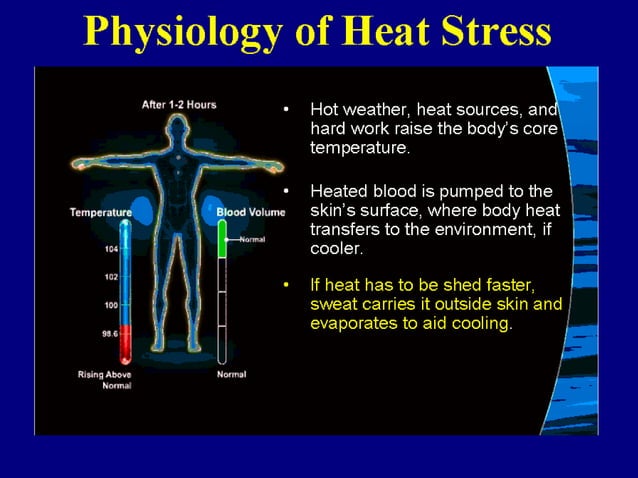 Heat Stress.ppt