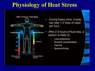 Heat Stress.ppt