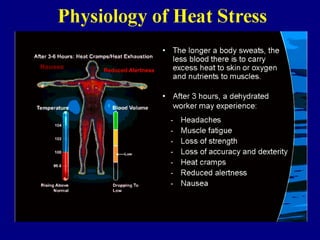 Heat Stress.ppt