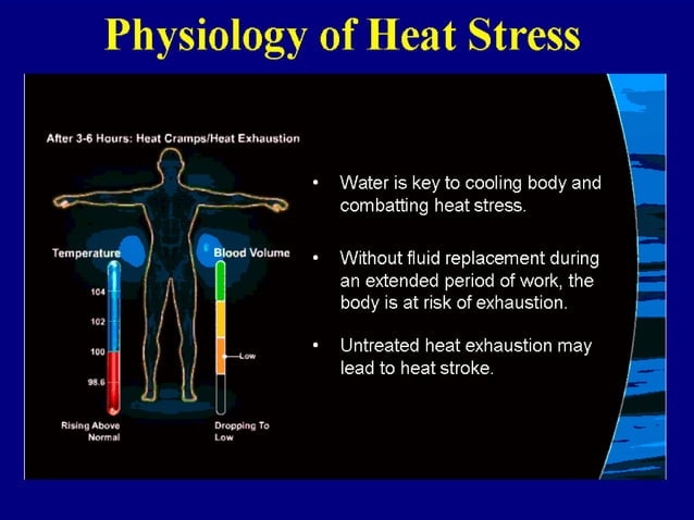 Heat Stress.ppt