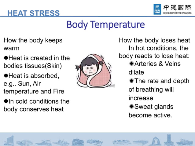 Effects of hot working environment (heat stress) | PPT