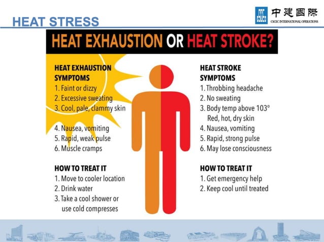 Effects of hot working environment (heat stress) | PPT