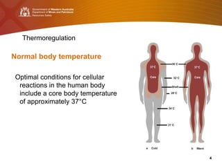 HeatStress.ppt in industrial hygiene safety | PPT