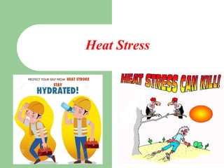 Heat Stress training data for everyone.ppt