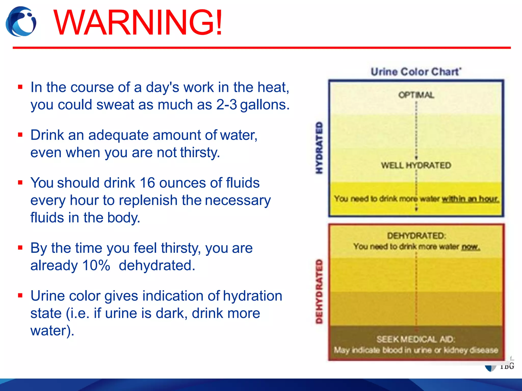 -- Heat Stress -- Training PPT | PDF