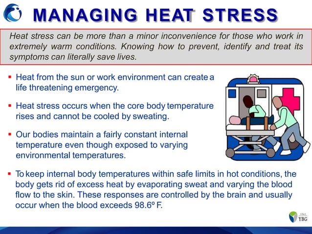 -- Heat Stress -- Training PPT | PDF | First Aid | Injuries