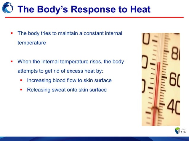 -- Heat Stress -- Training PPT | PDF | First Aid | Injuries