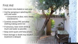 Heat Stress and Heat Exhaustion PDF.pdf