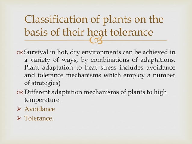 Heat stress, its tolerance and mechanism in cereals | PPT