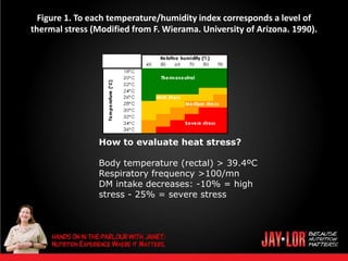 Quick Steps to Help Manage Heat Stress in your Dairy Cows | PPTX