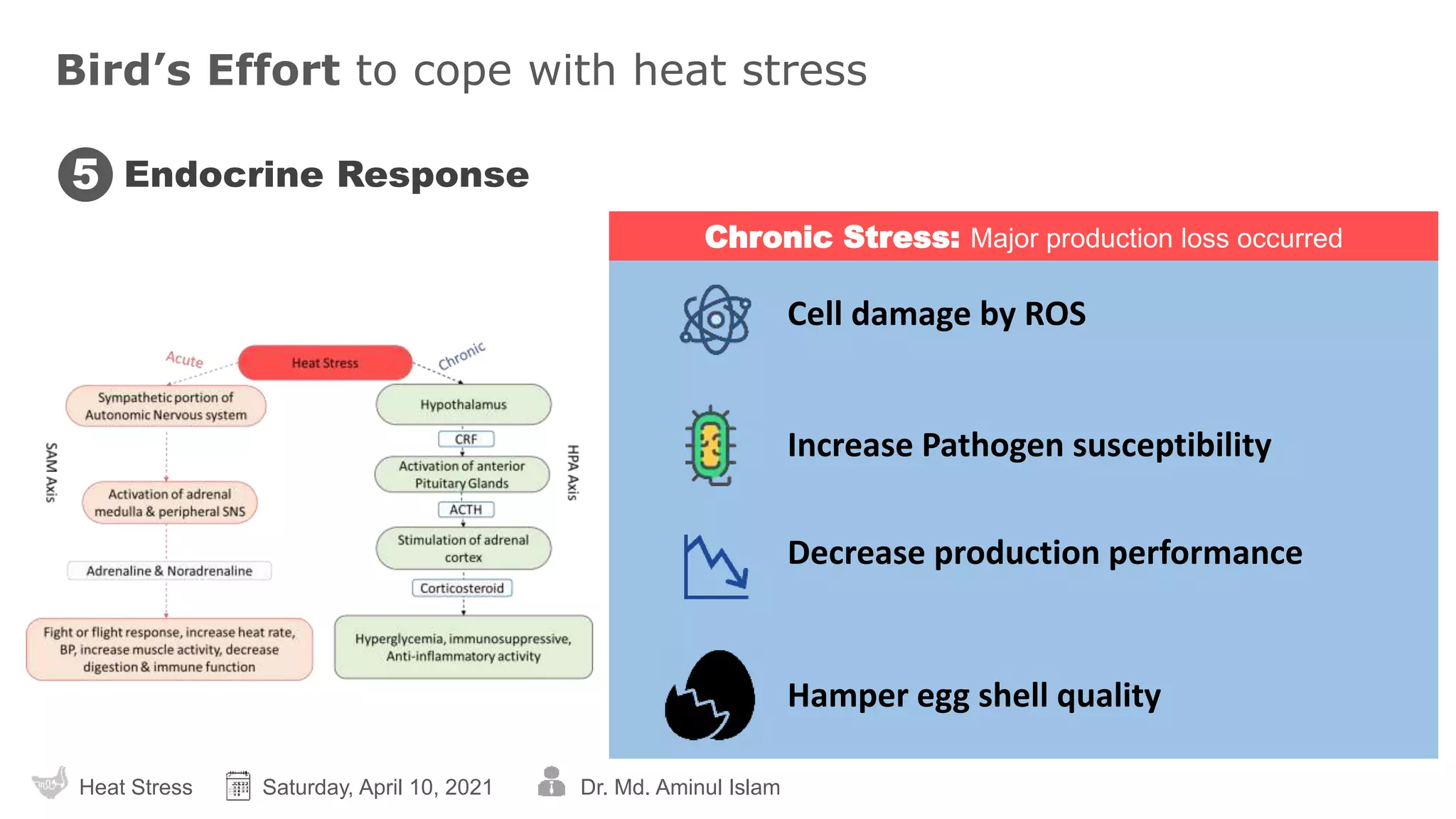 Strategic approach to combat heat stress in poultry | PPTX