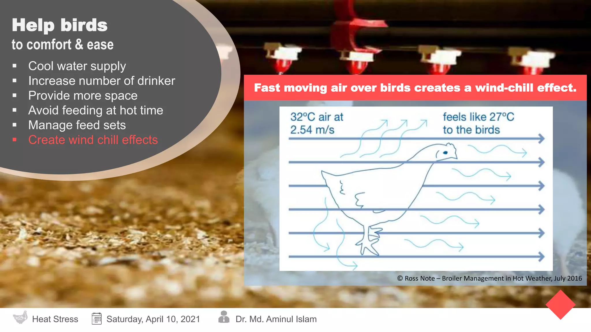 Strategic approach to combat heat stress in poultry | PPTX