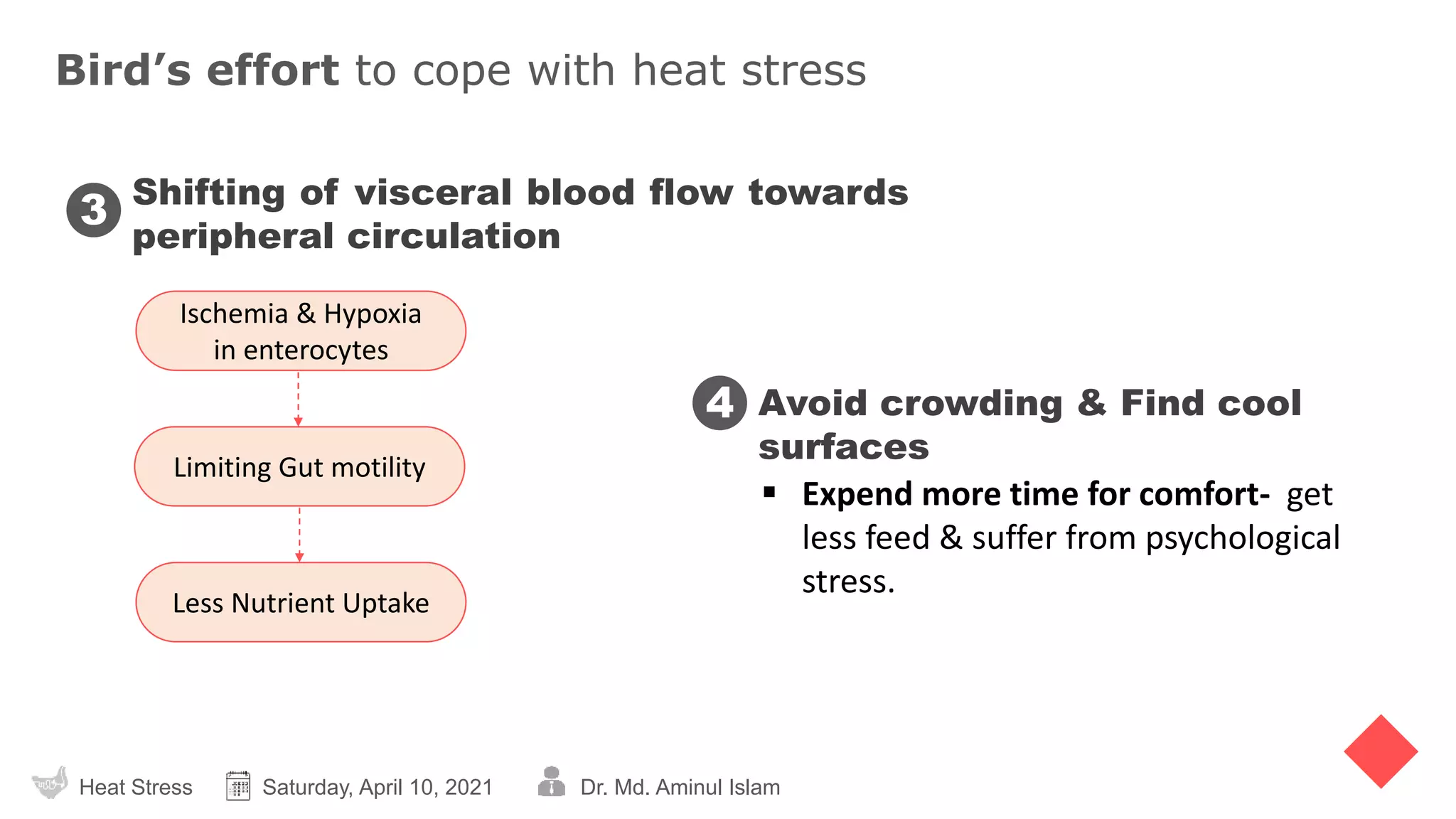 Strategic approach to combat heat stress in poultry | PPTX