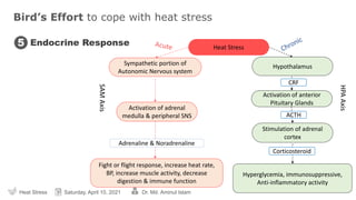 Strategic approach to combat heat stress in poultry | PPTX