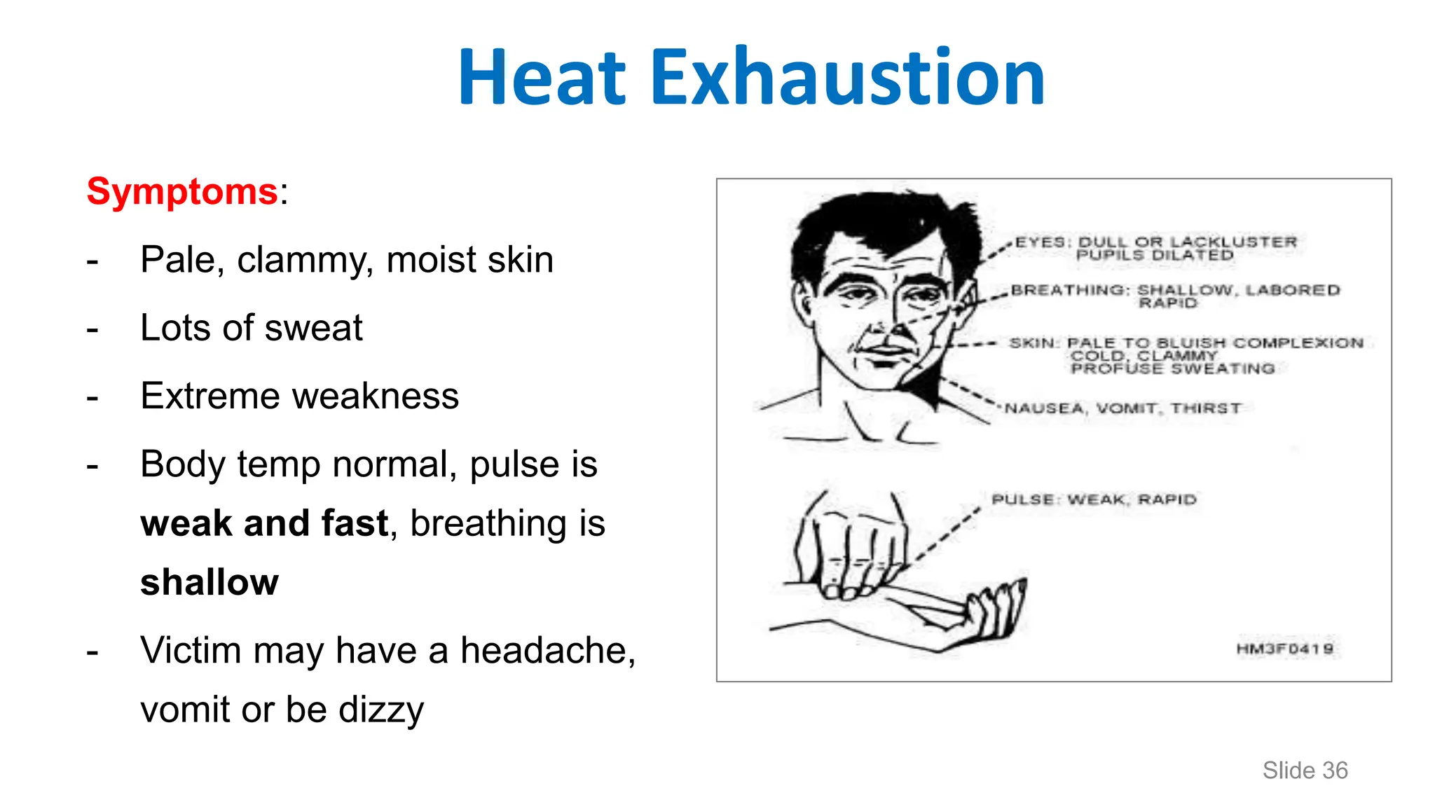 Heat Stress Prevention_____Document.pptx