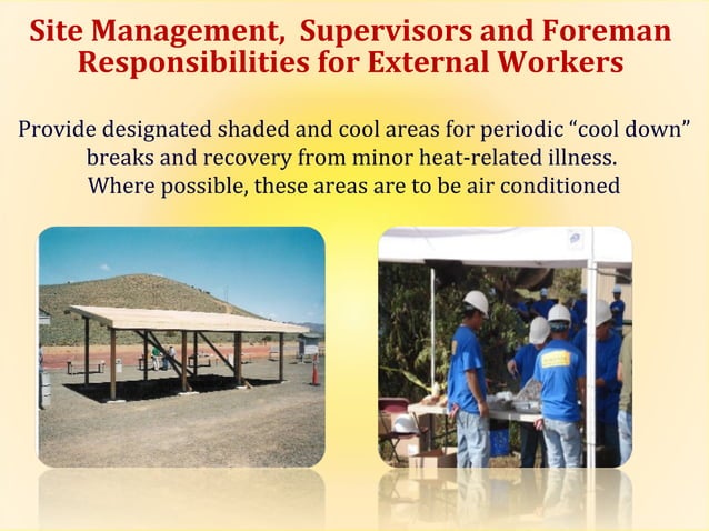 Heat stress program (management's role) | PPT