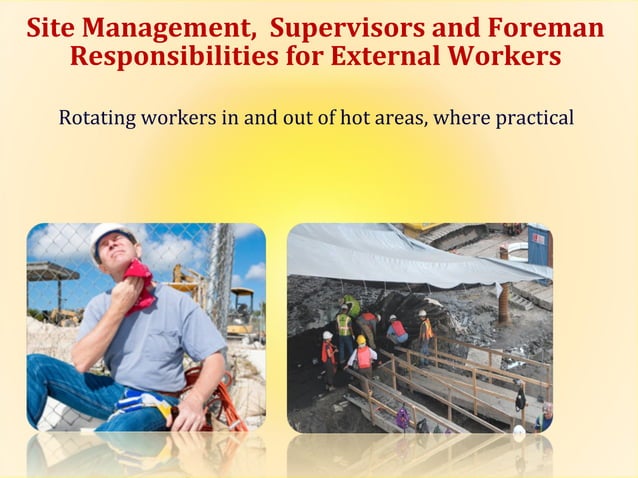 Heat stress program (management's role) | PPT