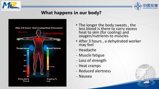 Heat Stroke | PDF
