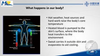 Heat Stroke | PDF