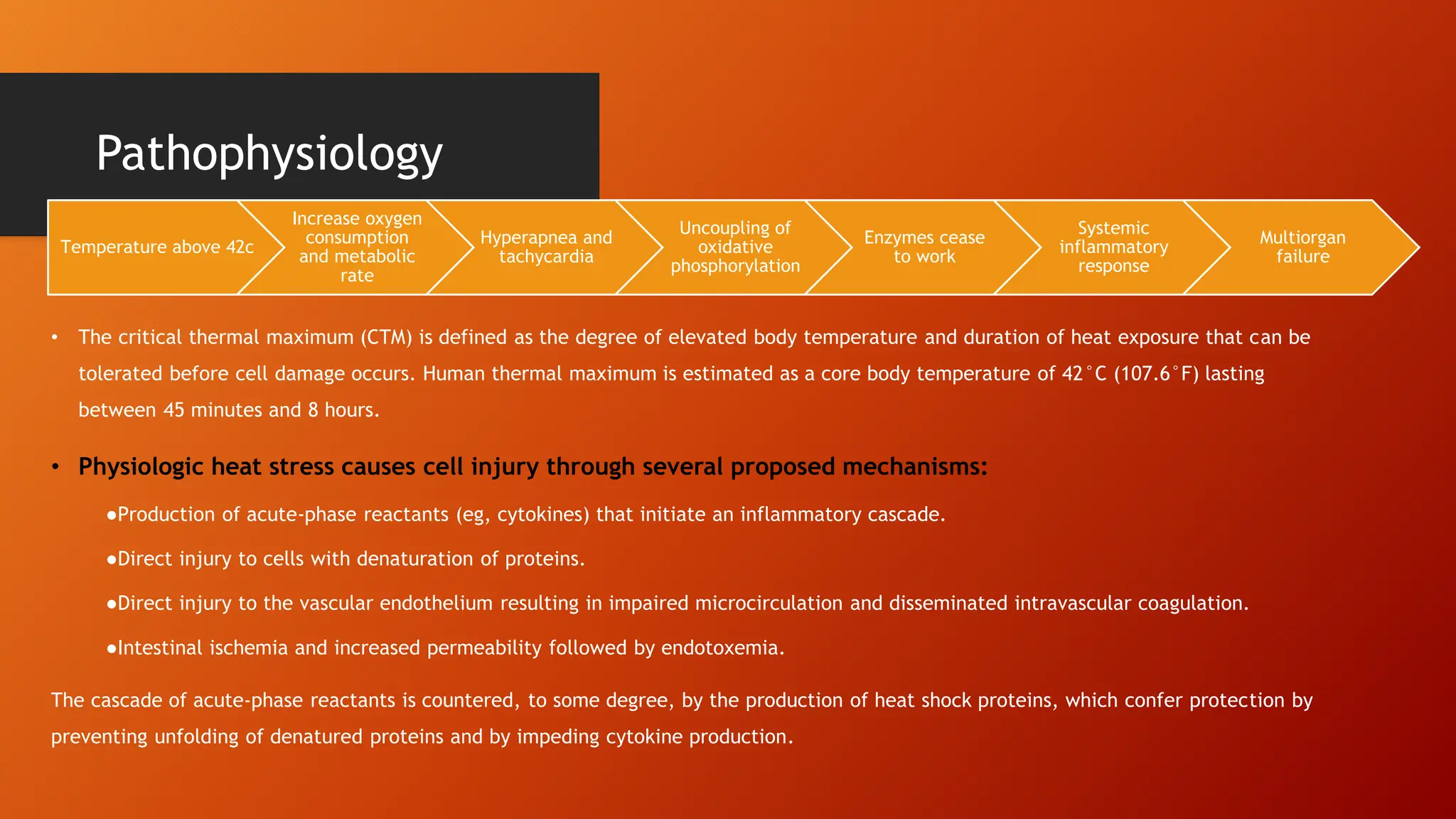 heat stroke and heat exhaustion in children | PPTX