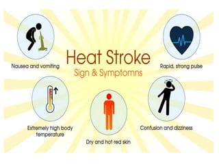 Heat stroke by Prof Najeeb Memon | PPT