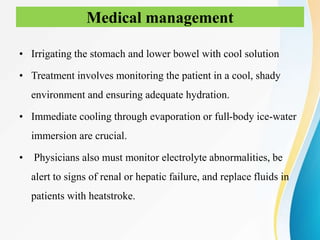 HEAT STROKE | PPTX
