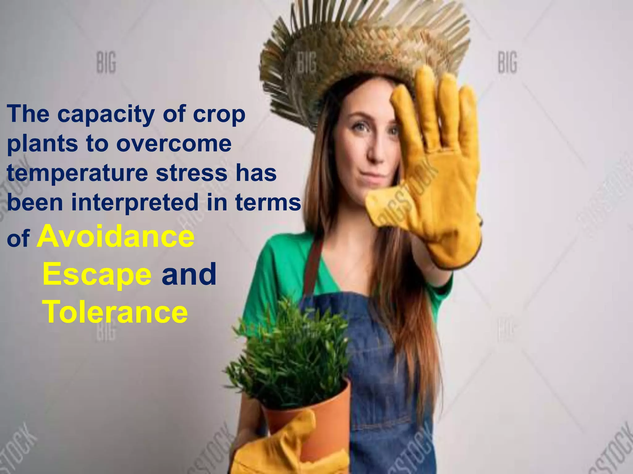 Heat tolerance in plants-The next generation breeding approaches | PPTX