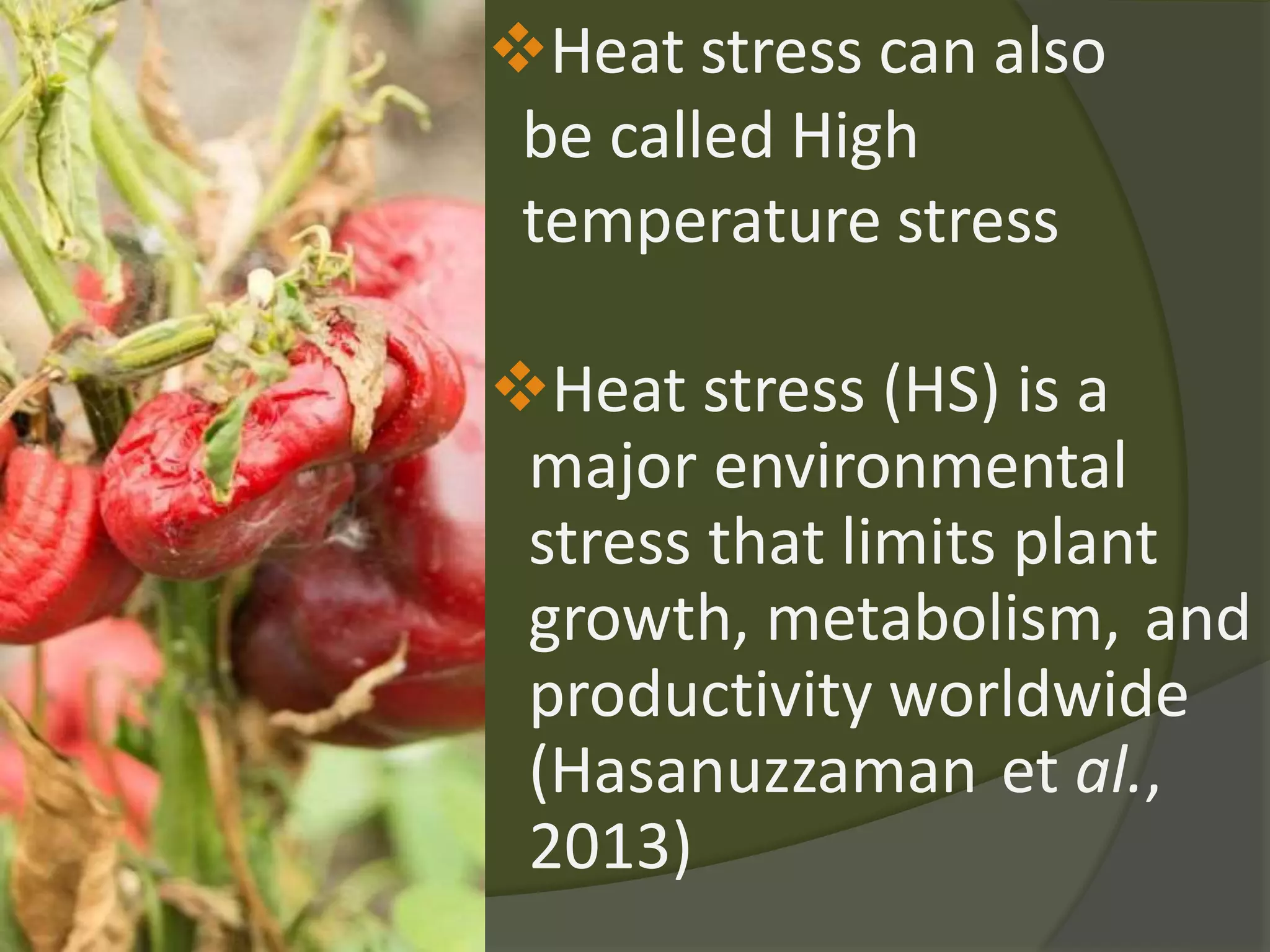 Heat tolerance in plants-The next generation breeding approaches | PPTX